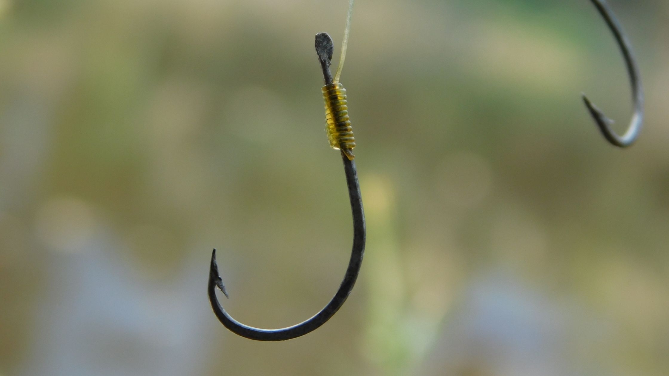 Types of Fishing Hooks