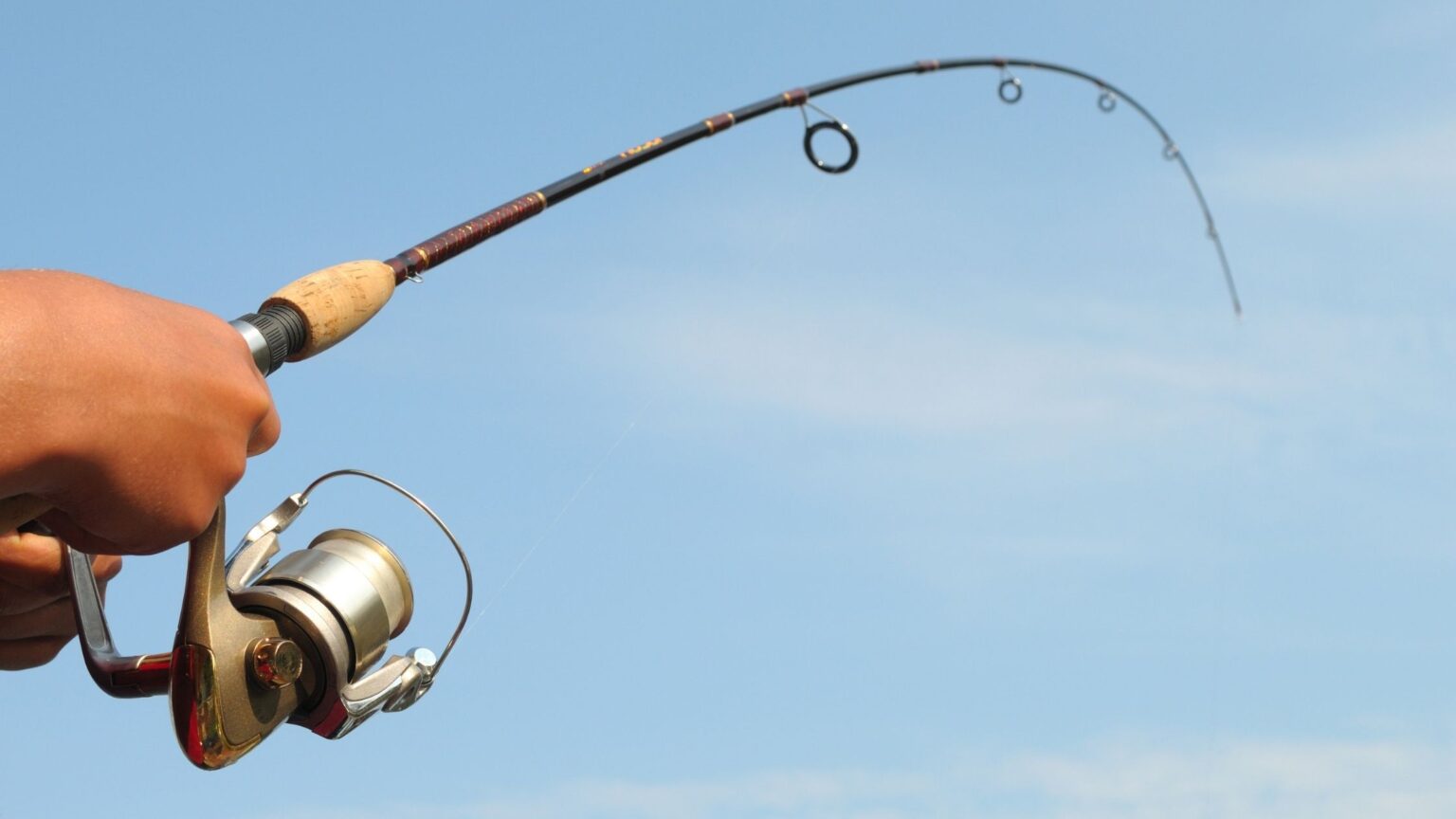 Types of Fishing Poles