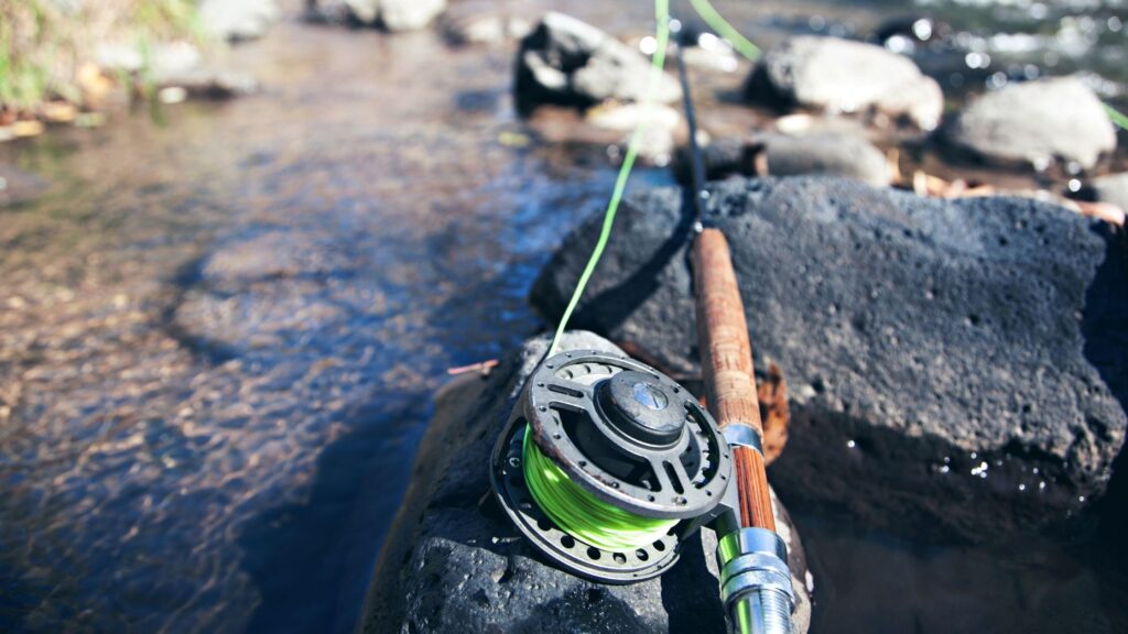 Types of Fishing Poles