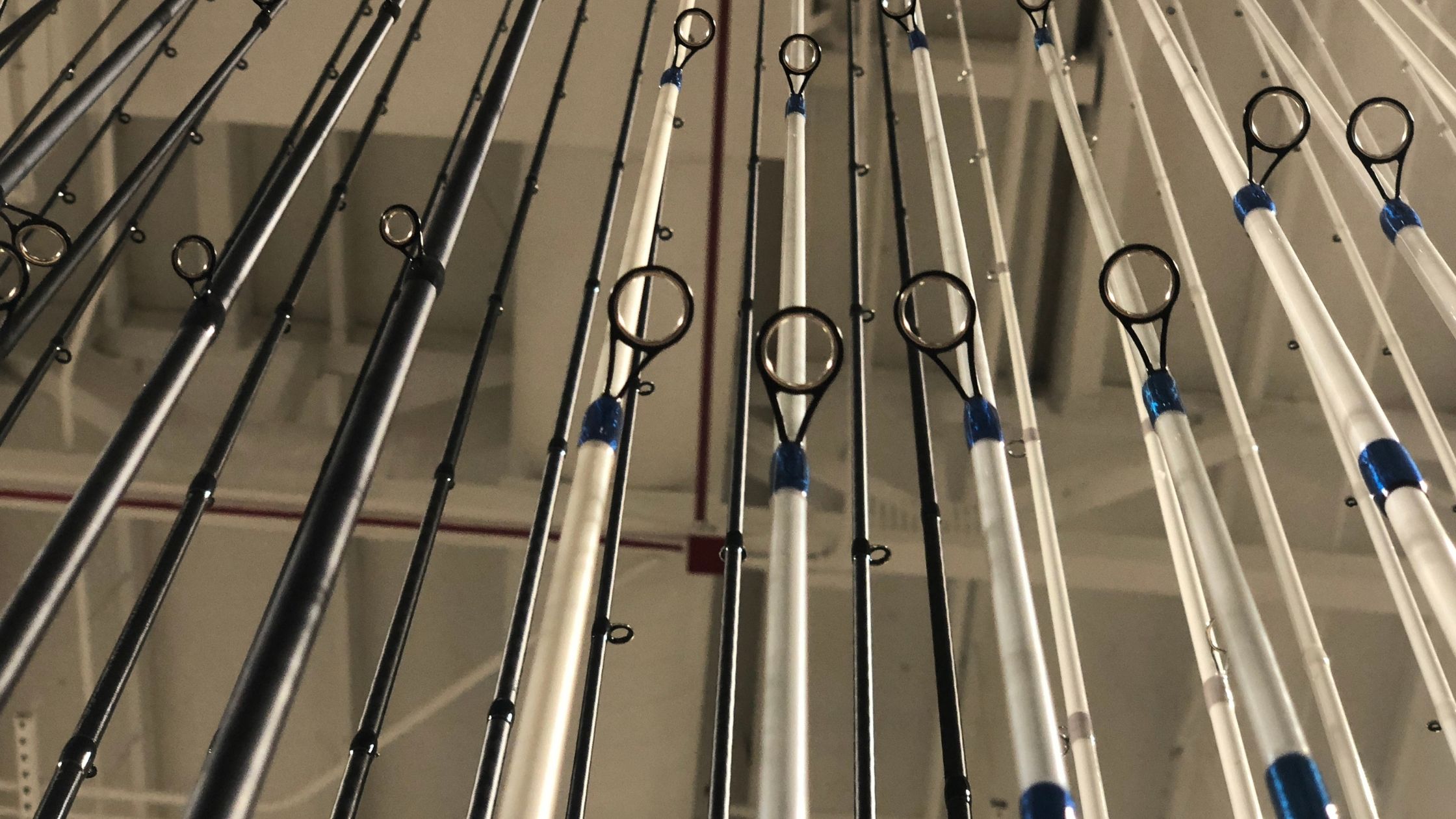 Types of Fishing Poles