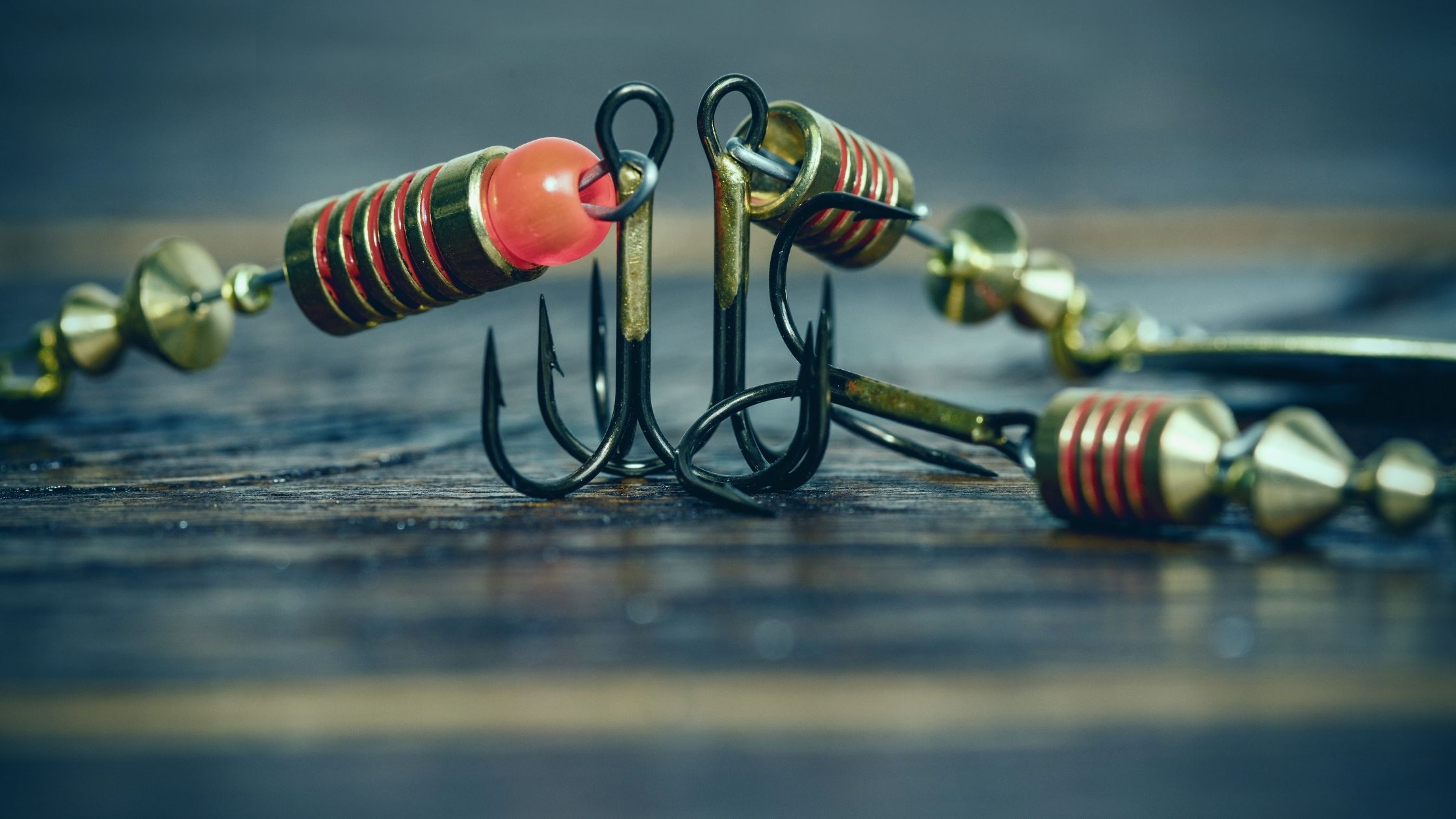Types of Fishing Hooks