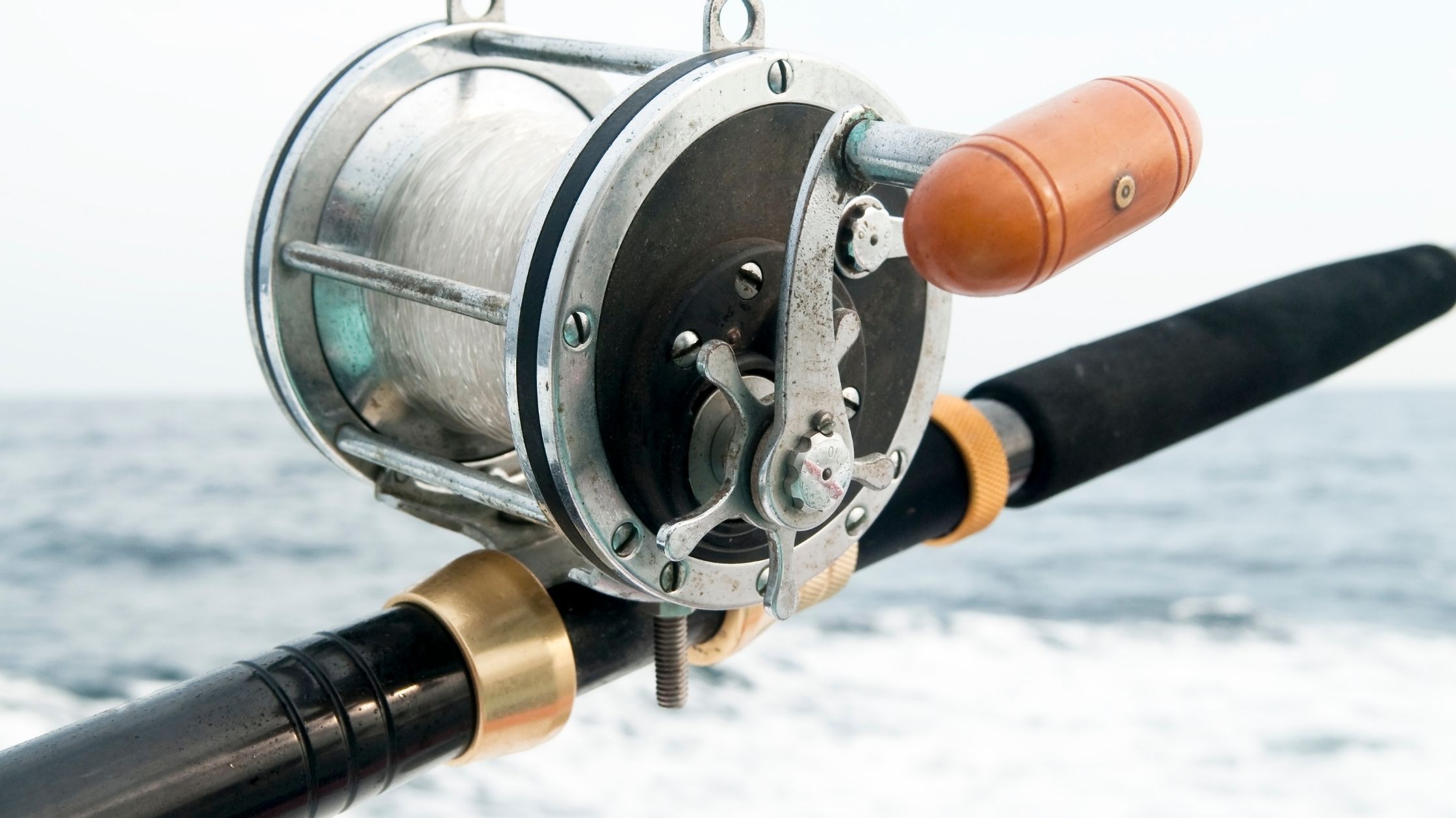 Types of Fishing Reels