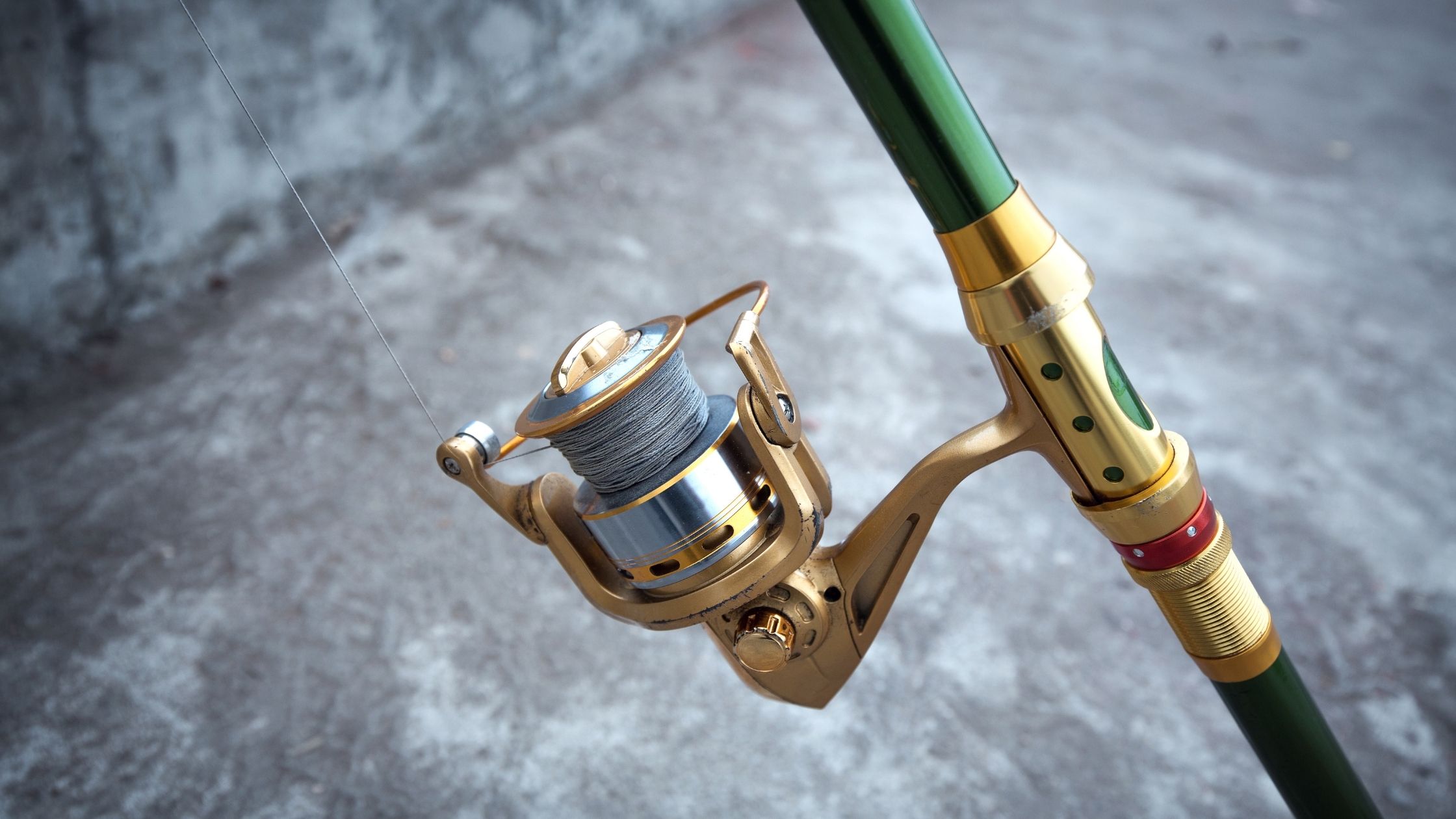 What Is The Best Type Of Fishing Pole at Declan Newling blog