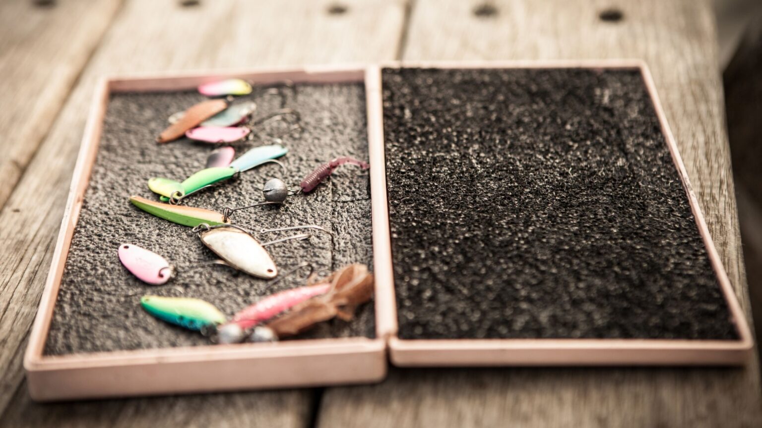 Types of Fishing Bait