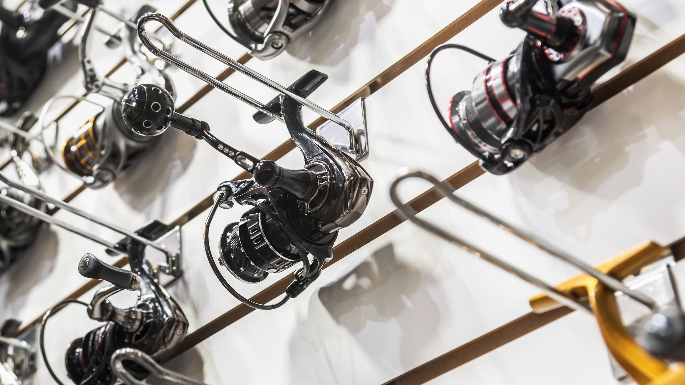 Types of Fishing Reels